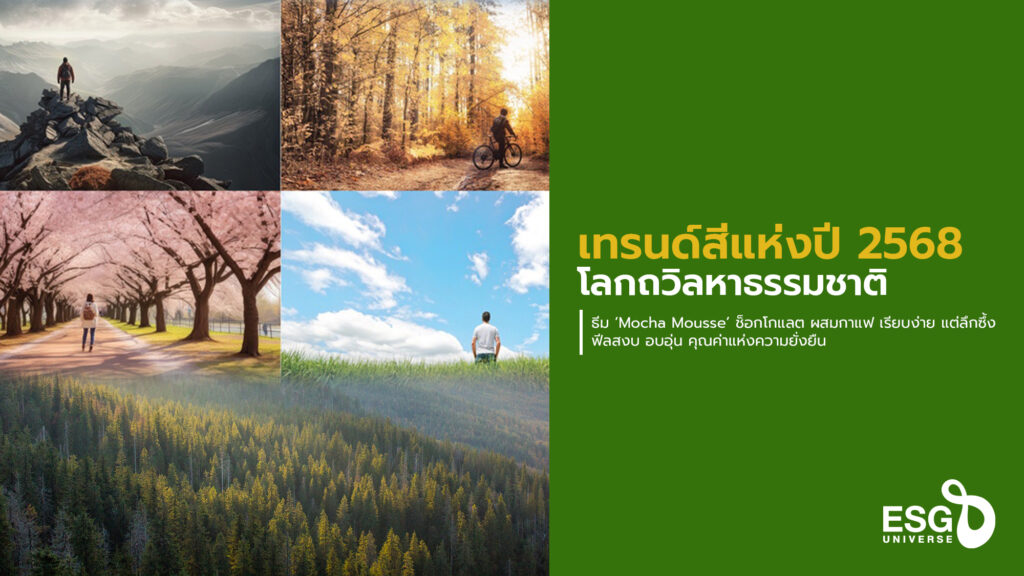 ชีวิตและสิ่งแวดล้อมในมิติสีสัน: เทรนด์ใหม่ปี 2568 เน้นความเรียบง่ายแต่ ...